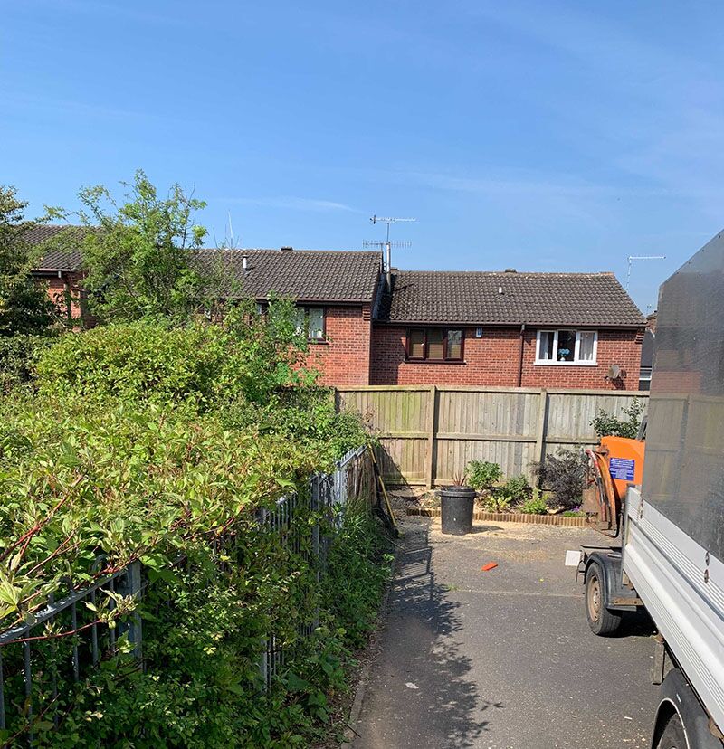 Tree Causing Subsidence - What can be done? - Hands on Tree Care